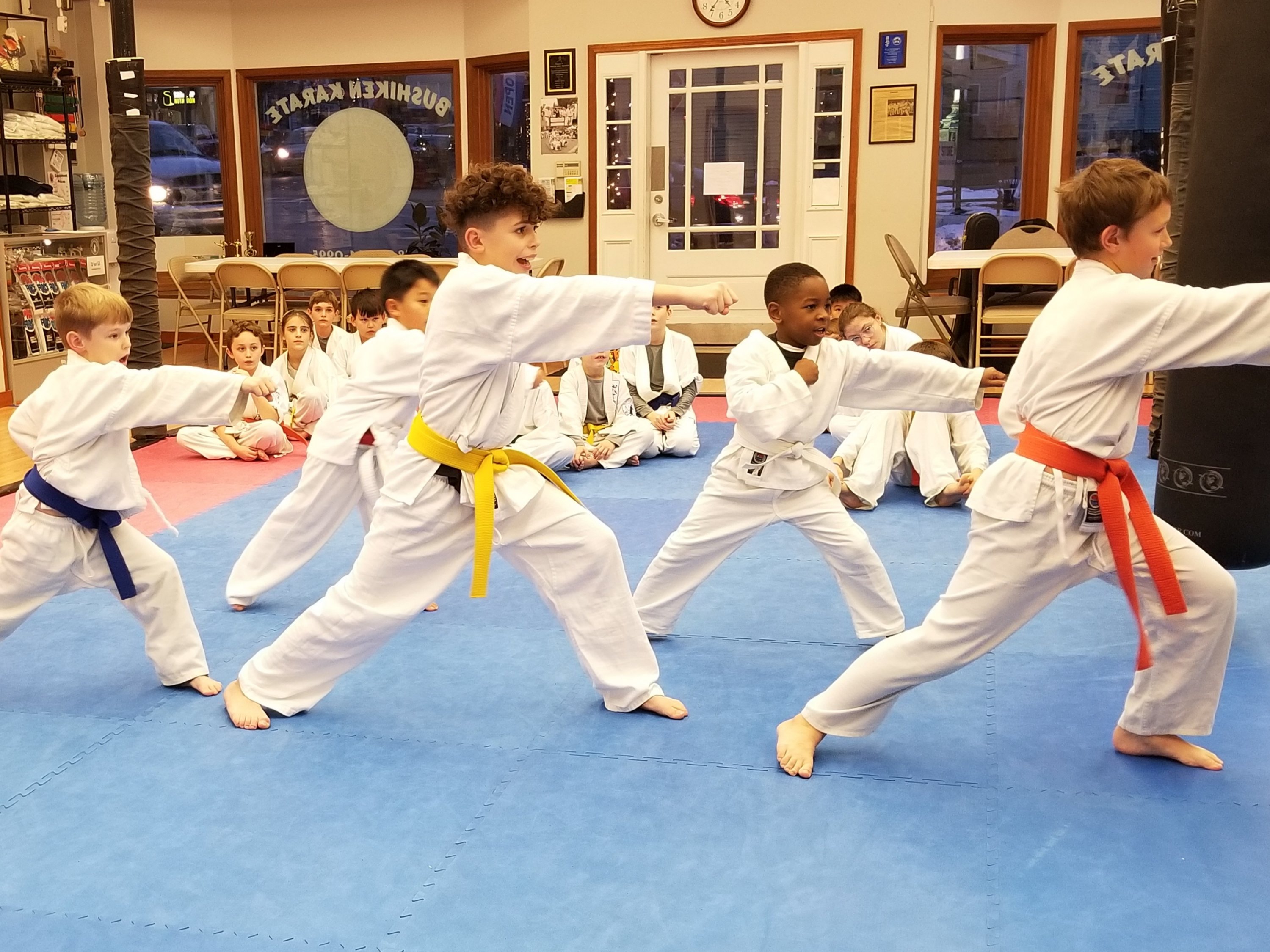 Bushiken Karate Honbu Dojo | Our site is about the Bushiken Karate ...
